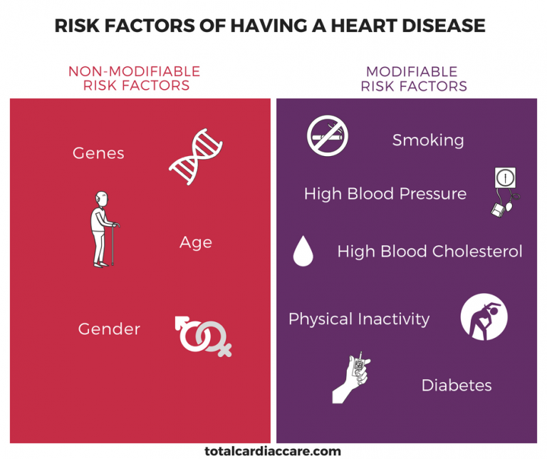 RISK FACTORS OF HAVING A HEART DISEASE - Total cardiac care